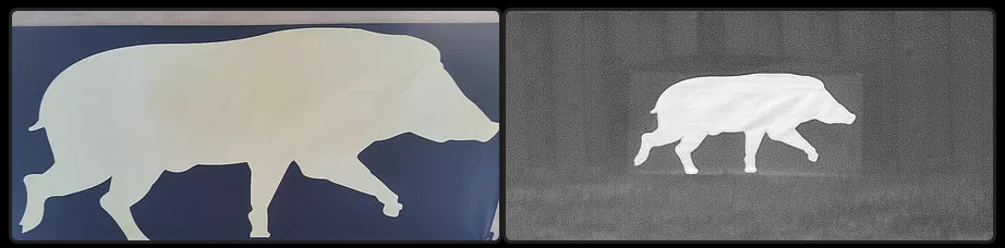 Thermbright Wild Hog Thermal Target Reusable MJS 6444