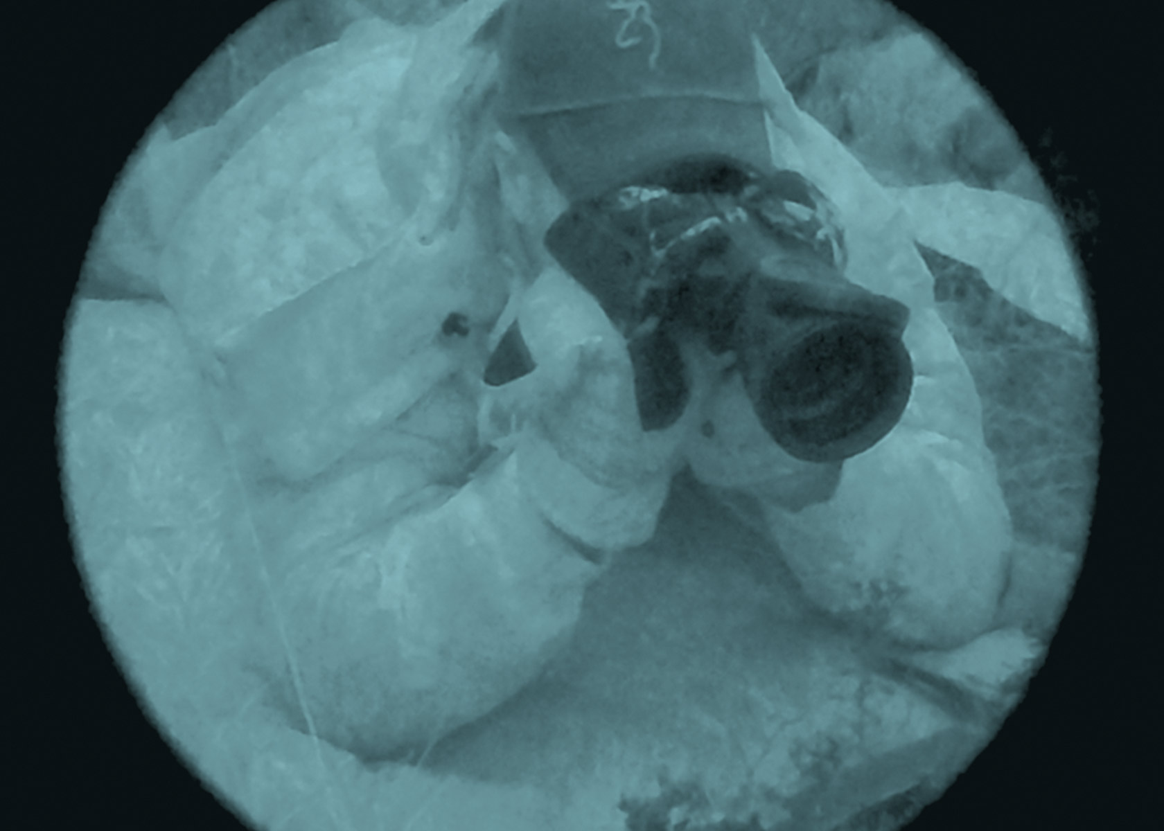 Armasight Discovery 5x QS-HD Night Vision Binocular QuickSilver White ...