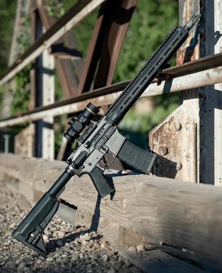 Leupold Freedom RDS w/Mount Rifle 1x 34mm 1 MOA Illuminated Red Dot ...